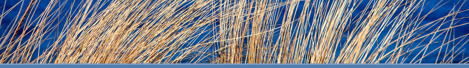 Evangelisch-lutherischer Kirchenkreis Stade – Welcome on Board ...