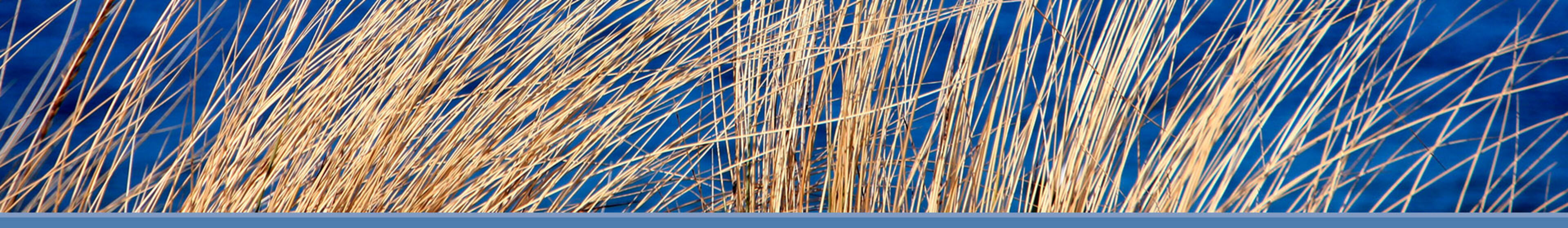 Evangelisch-lutherischer Kirchenkreis Stade – Welcome on Board ...